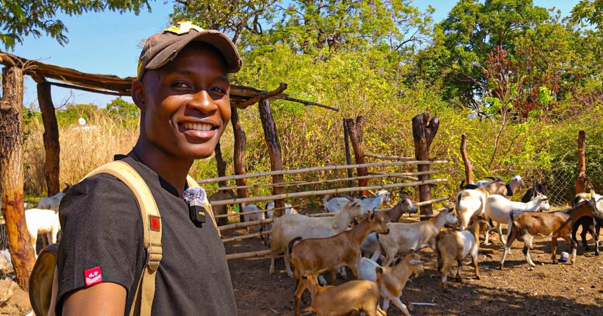 Zimbabwes diaspora influences countrys real estate and farming ...
